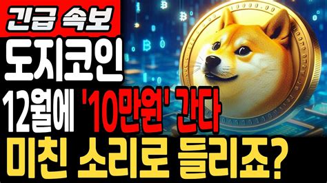 도지코인 전망 12월에 10만원 간다 미친 소리로 들리죠 Youtube