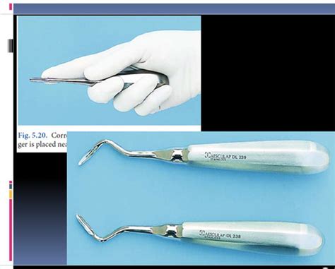 Pre Extraction Considerations Extraction Techniques Instruments Post Extraction Instructions