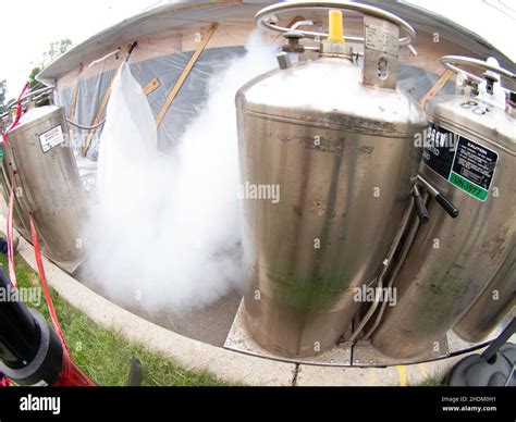 Liquid Nitrogen Tanks Lno2 With Off Gassing Liquid Nitrogen—ln2 Stock
