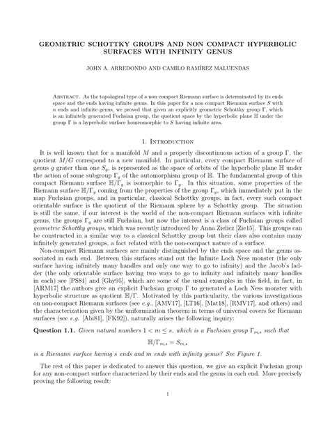pdf geometric schottky groups and non compact hyperbolic surfaces