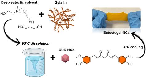 Schematic Illustration Of The Preparation Of Gelatin Based Eutectogels