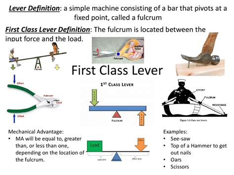 Second Class Lever Examples