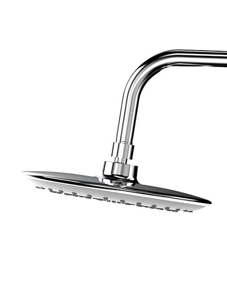 City 시티 Collection 로얄앤코