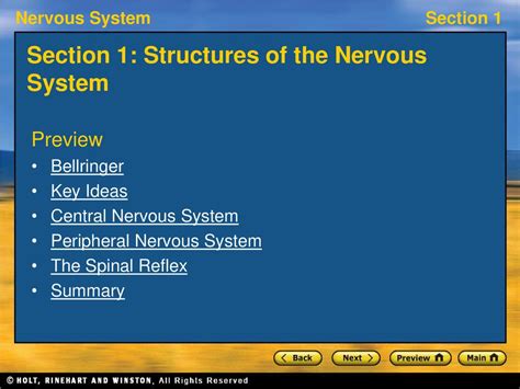 Section 1: Structures of the Nervous System - ppt download