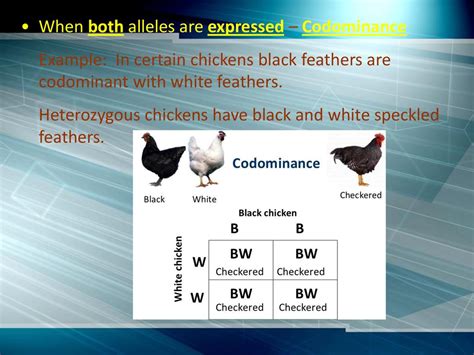 Patterns Of Inheritance Ppt Download