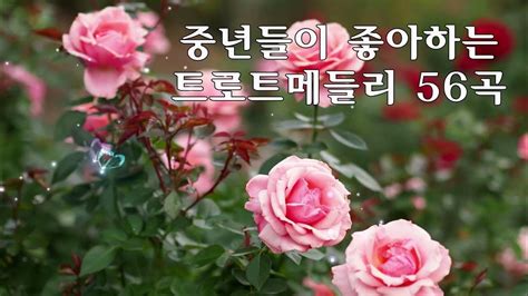 트로트 최신 트로트 100곡 노래방 애창곡 트로트 메들리 노래모음 주현미 옛가요 아름다운 목소리의 트로트 Youtube