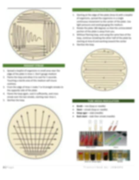 SOLUTION Lab 2 Basic Aseptic Technique Studypool