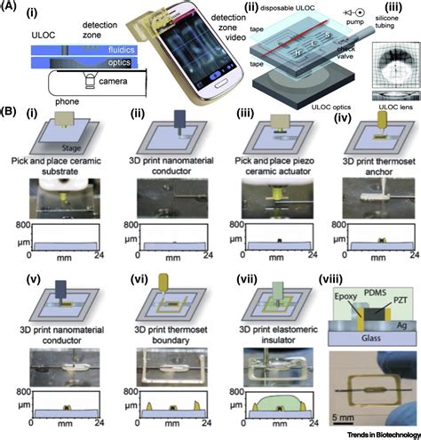 Integrated Printed Microfluidic Biosensors Trends In Biotechnology