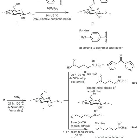 Pdf Cationically Modified 6 Deoxy 6 Azido Cellulose As A Water Soluble And Reactive Biopolymer