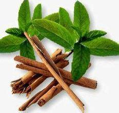 Cinnamomum Zeylanicum