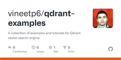 github vineetp6 qdrant examples a collection of examples and
