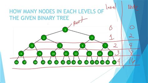 Levels Of Nodes In Binary Tree Youtube