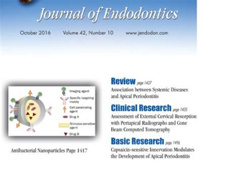 Dr Kreena Patel Brigstock Dental Implant And Specialist Referral Centre Dentist In Thornton