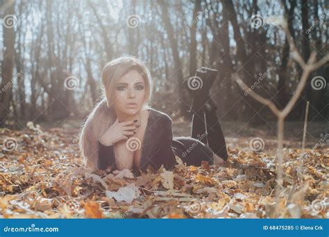 Beautiful Woman Stock Image Image Of Caucasian Adult 68475285