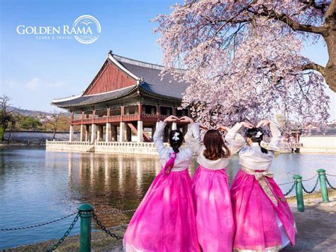 Beli Tiket 5h3m Supersale Korea Cherry Blossom Nami Island And Hanbok