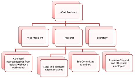 Describe How Committee Chairmen Are Chosen And Explain Their Role In