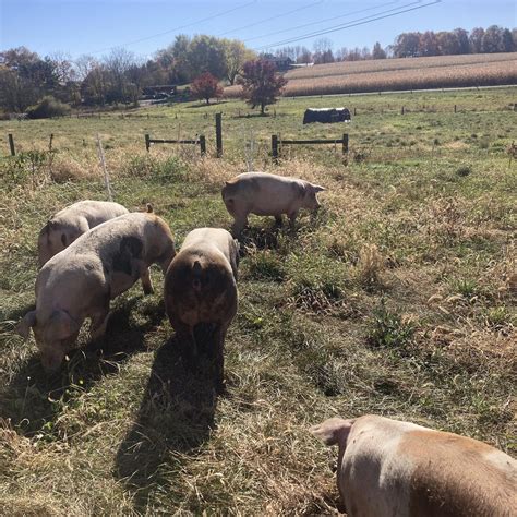 Odyssey Farm And Ranch Grow Together