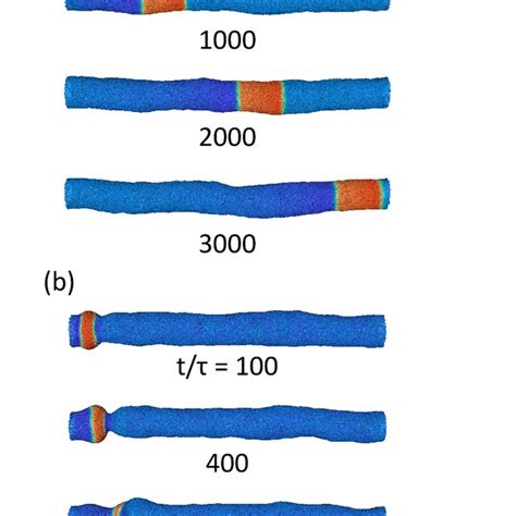 Typical Sequential Snapshots Of Propagating Waves On Non Deformable