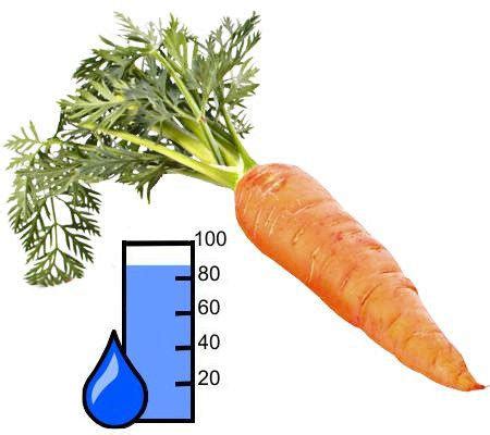 Contenido De Agua En La Zanahoria Y ¿por Qué La Zanahoria Es De Color Naranja ¿cuánta Agua