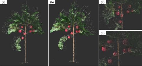 Figure 12 From Accurate Fruit Localisation For Robotic Harvesting Using High Resolution Lidar