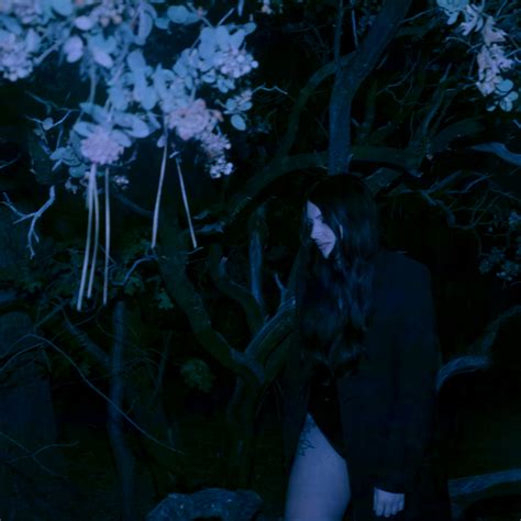 Caress Nocturnal Electronic Essence