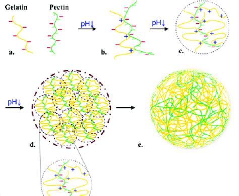 Schematic Illustration Of The Electrostatic Complexation That Occurs