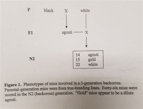 Solved Genetics I Need A Chi Square Test For This Problem Chegg Com