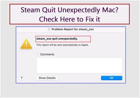 steam quit unexpectedly mac fixed in 6 ways easeus
