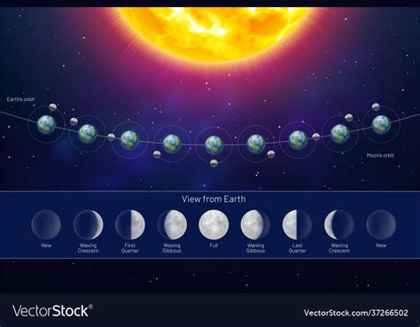 Movement Moon Phases View From Earth Royalty Free Vector