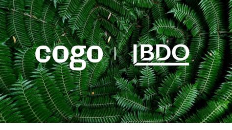 🎉 We Are Stoked To Announce That Were Working With Bdo In New Zealand To Offer Access To Cogos