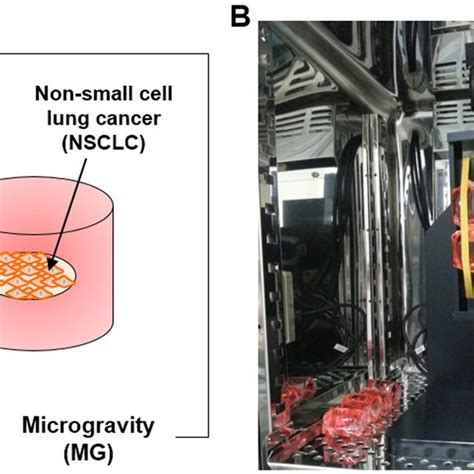 system configuration of simulated microgravity with a floating