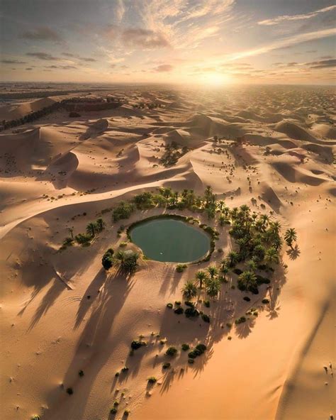 Tiny Oasis In The Egyptian Desert Göller Doğa Fotoğrafçılığı Manzara