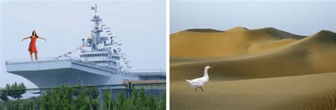 spliced images successfully classified as forged download scientific