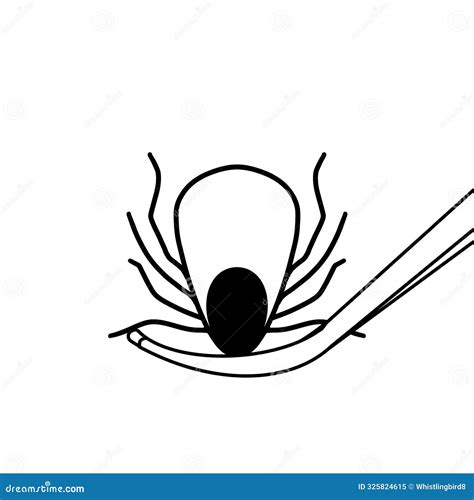 How To Remove A Tick The Correct Way Using Forceps 3d Rendering