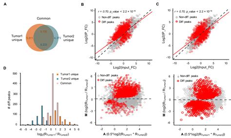 Refined Rip Seq Protocol For Epitranscriptome Analysis With Low Input Materials Abstract