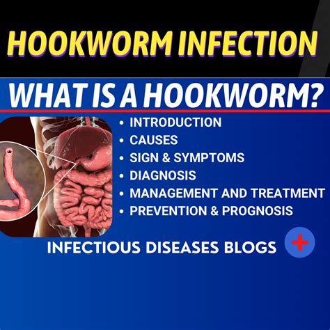 What Is Hookworm Infection