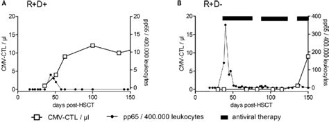 Recovery Of Cmv Specific Cytotoxic T Lymphocytes After Hsct Examples