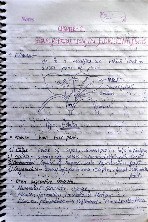 SOLUTION Sexual Reproduction In Flowering Plants Biology Notes For Neet And Class 12