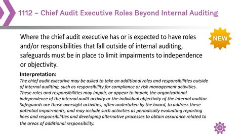 International Professional Practices Framework Ippf Pdf Pdf