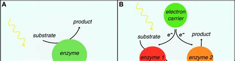 Key Strategies To Improve Light Driven Systems A Fusion Of Target