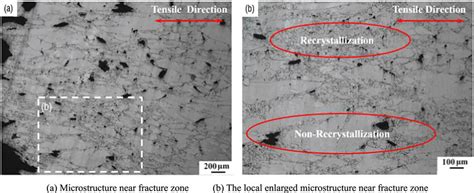 Microstructure Near The Fracture Region At 1050 °c Download