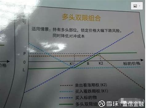 期权交易策略全解 期权基本策略一方向性策略A看涨策略1买入看涨期权2卖出看跌期权3牛市看涨价差4牛市看跌价差B看跌策略5买 雪球