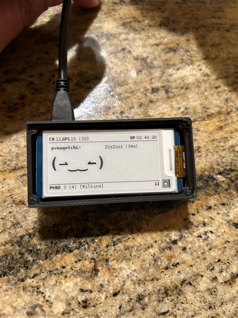 First Build R Pwnagotchi