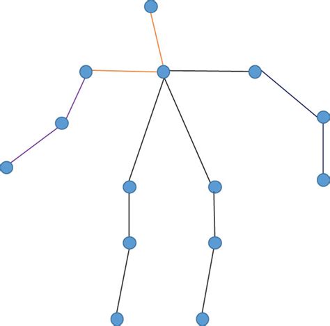 Schematic Diagram Of Human Skeleton Download Scientific Diagram