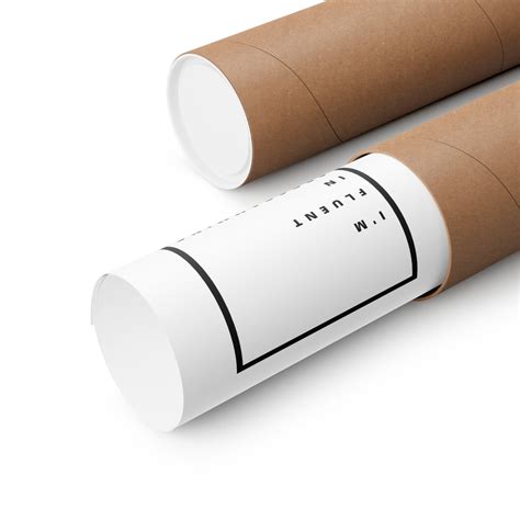 Minimalist Programming Languages Poster Im Fluent In Programming