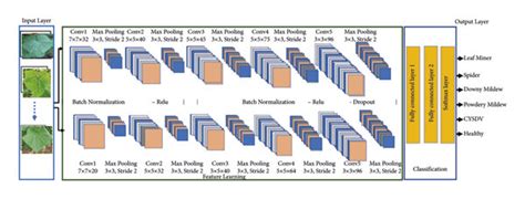 Proposed Two Combined CNN Architecture 2 CNN Download Scientific Diagram