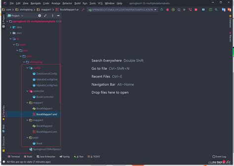 Springboot多数据源mybatisspringboot多数据源 Mybatis Csdn博客