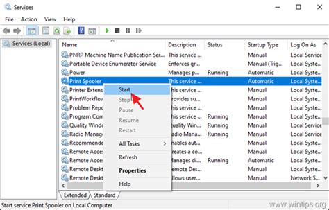 What To Do If Your Printer Is Not Working On Windows 1011