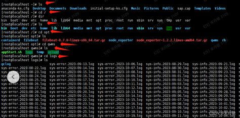 【linux】查看下载应用在服务器的日志 linux日志下载 csdn博客