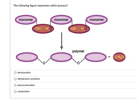 Solved The Following Figure Represents Which Process Monomer Monomer
